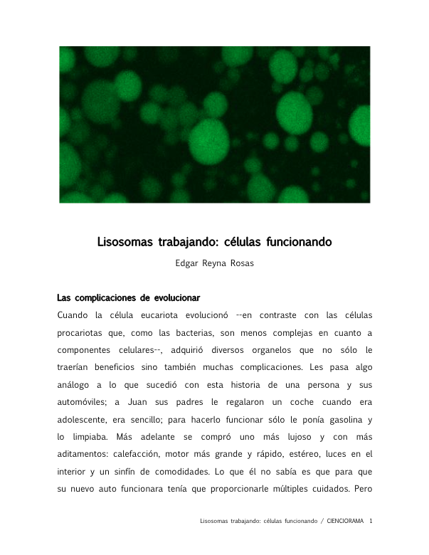 Lisosomas UNAM PDF ¡DESCARGAR AQUÍ! | Guía Unam